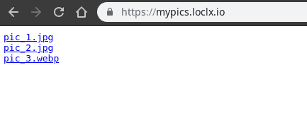 Sharing Files from Localhost | LocalXpose Docs