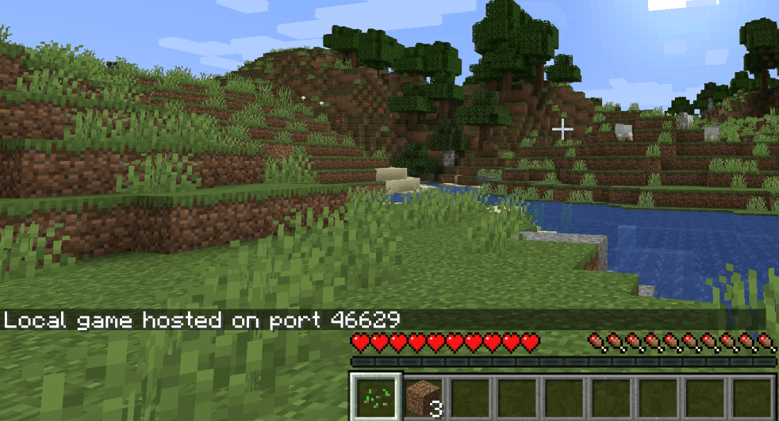 Exposing Localhost Minecraft Server | LocalXpose Docs