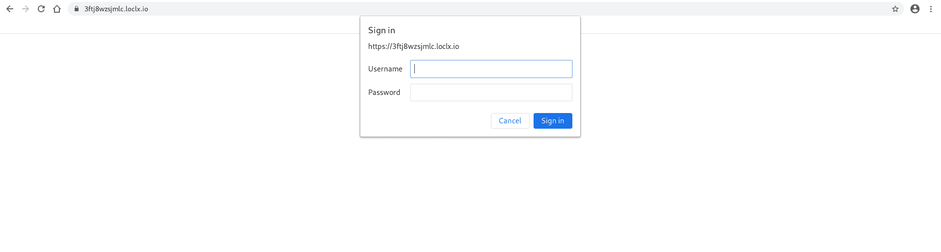 Expose Localhost Netdata | LocalXpose Docs