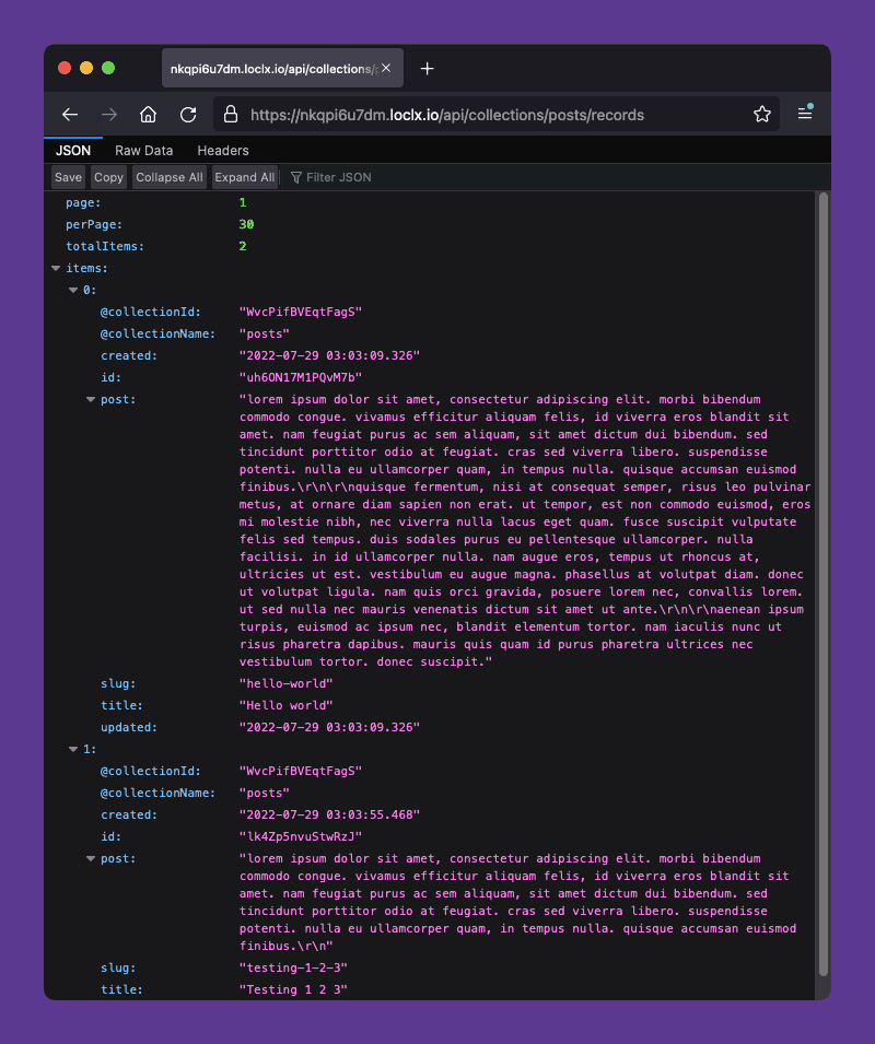 Expose Pocketbase Backend | LocalXpose Docs