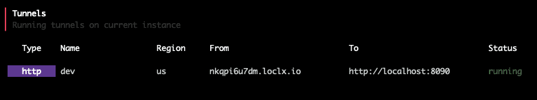 Expose Pocketbase Backend | LocalXpose Docs